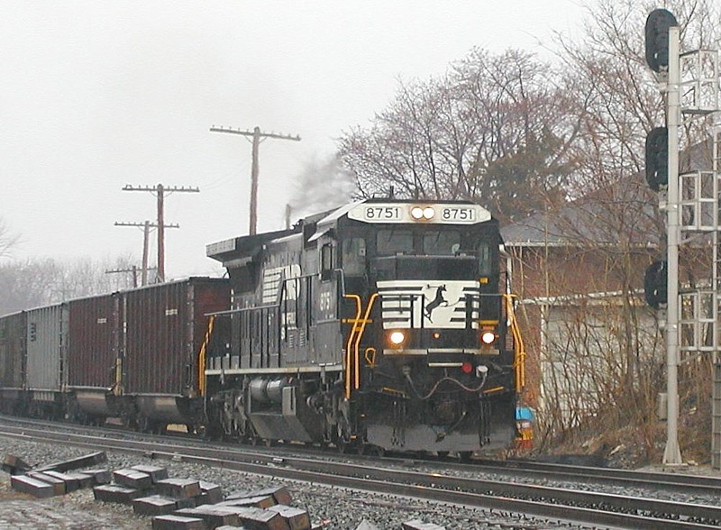NS 8751 NS unibrow
